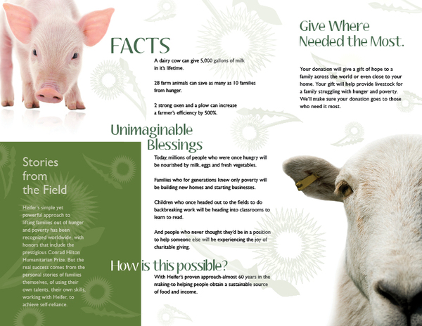 HeiferCARD1 - A Well-Fed World