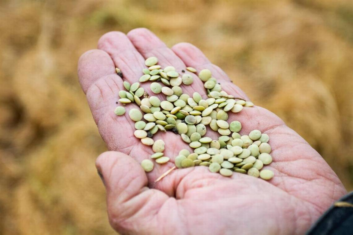 The Secret to Farming for the Climate - A Well-Fed World