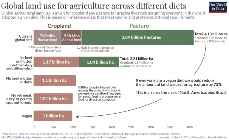 We Need a Plant-Based Food System to Feed the World - A Well-Fed World
