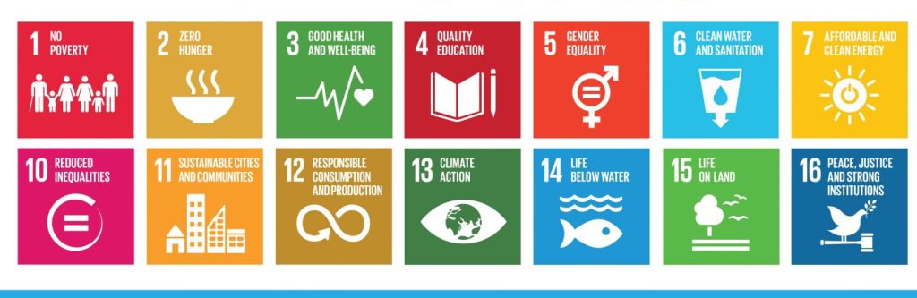 SDGs-horizontal - A Well-Fed World
