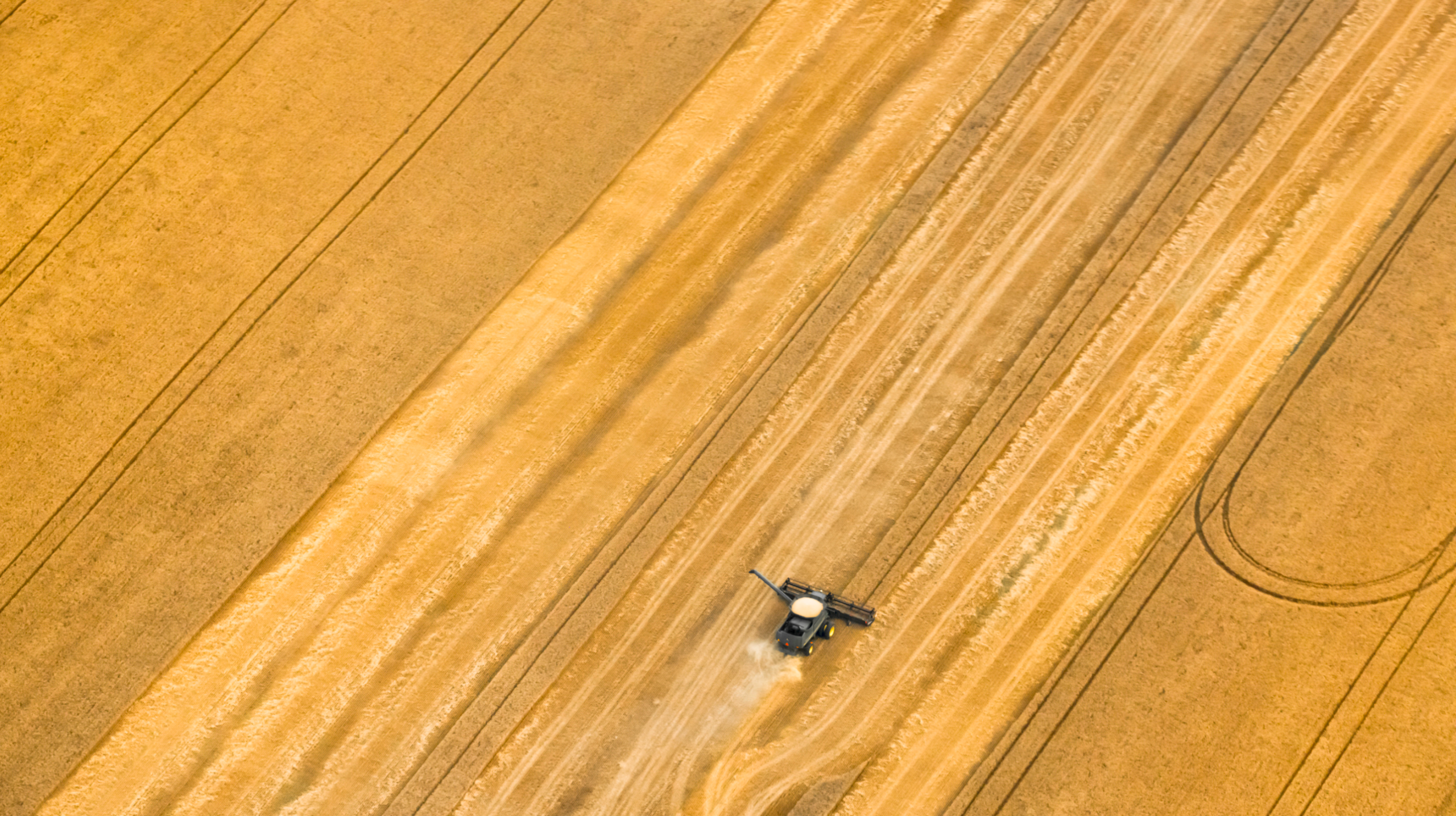 combine harvester monoculture feed crops - A Well-Fed World