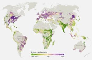 Feed vs. Food: How Farming Animals Fuels Hunger - A Well-Fed World